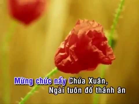 Xuân đã về đây - Hùng Phú, Thanh Nguyên PDF video lyric lời bài hát